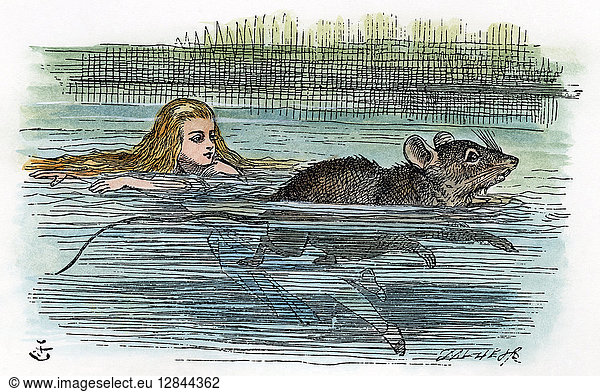 Dodgson Alice Dodgson Alice 1865 Alice Swimming In The Pool Of Her Own Tears With The Mouse
