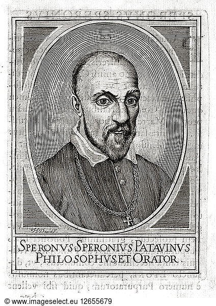 Portrait of Sperone Speroni (1500-1588). Portrait of Sperone Speroni ...