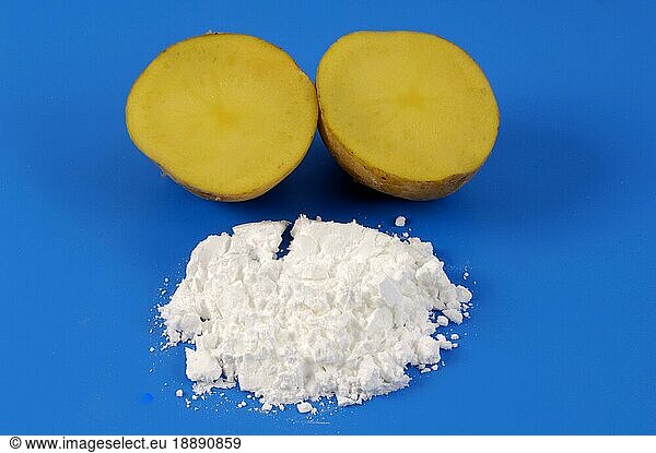 Potato Starch Cornstarch Potato Starch Cornstarch Potatophotographystarchspeisestärke